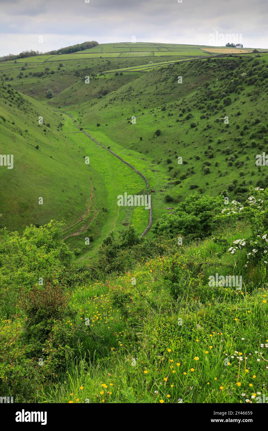 Summer view through Cressbrook Dale, near Tideswell village, Derbyshire ...