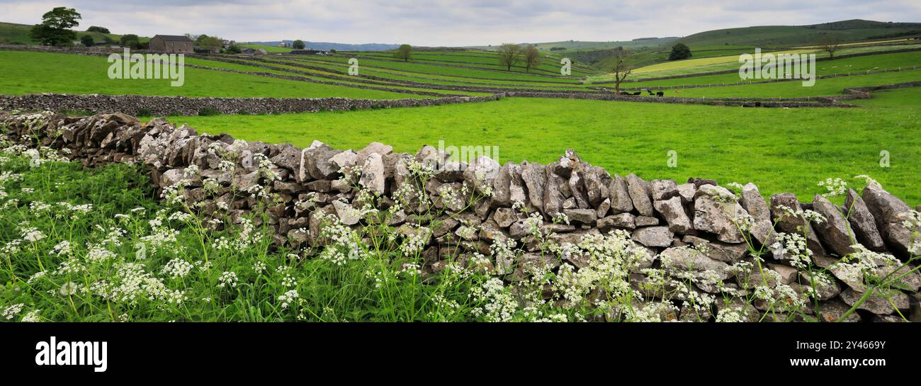 View over the Drystone walls around Littondale, Litton village, Peak ...