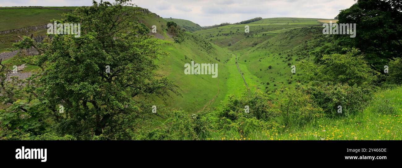 Summer view through Cressbrook Dale, near Tideswell village, Derbyshire ...