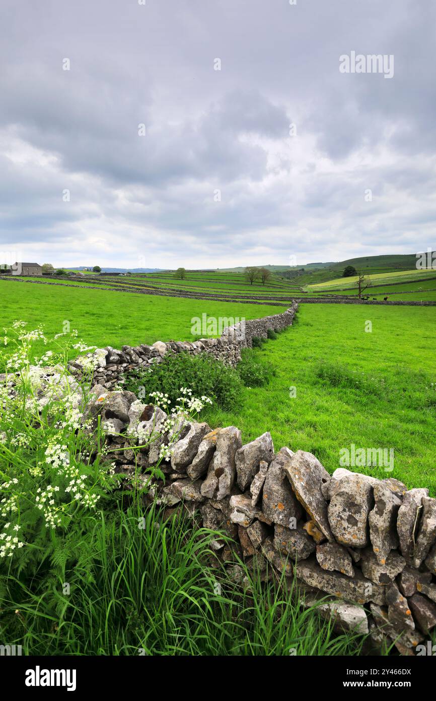 View over the Drystone walls around Littondale, Litton village, Peak ...