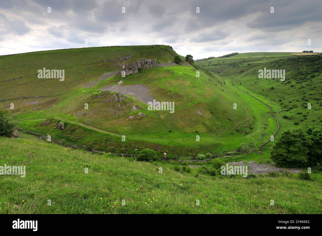 Summer view through Cressbrook Dale, near Tideswell village, Derbyshire ...