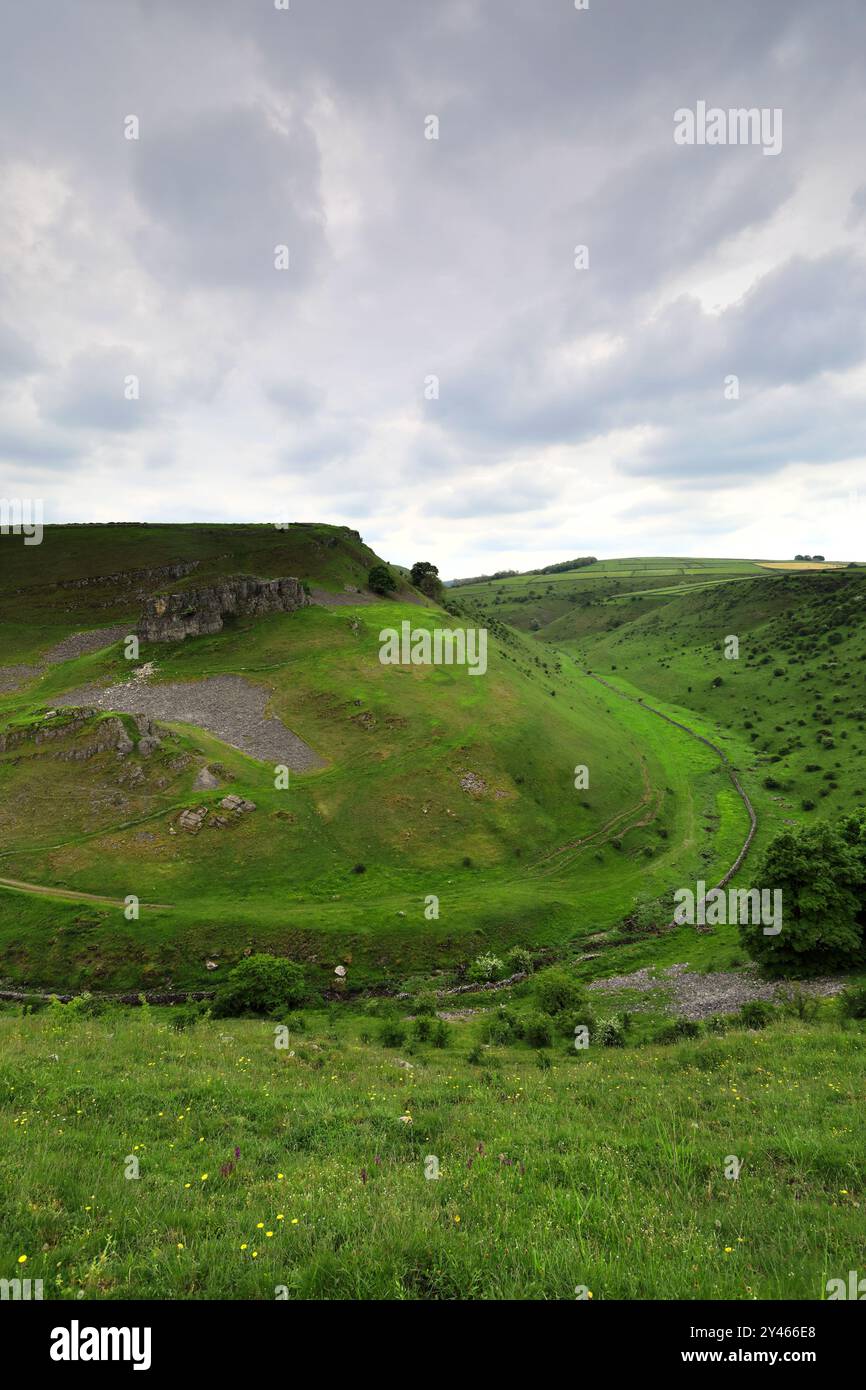 Summer view through Cressbrook Dale, near Tideswell village, Derbyshire ...