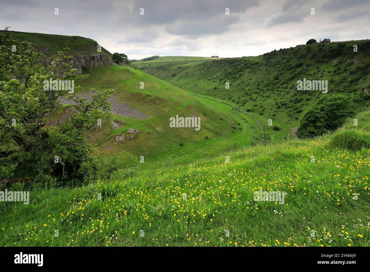 Summer view through Cressbrook Dale, near Tideswell village, Derbyshire ...