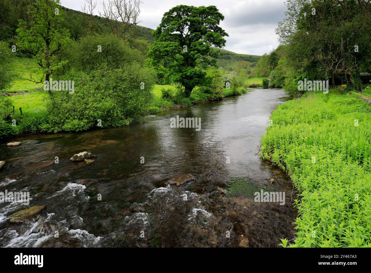 Summer view over the river Wye at Monsal Head, Peak District National ...