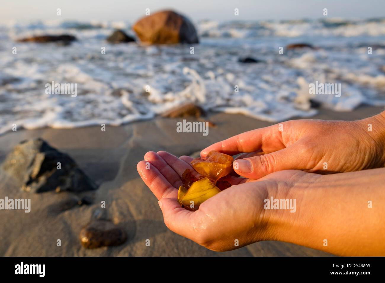 A person is gently holding a beautiful piece of amber in their hands ...