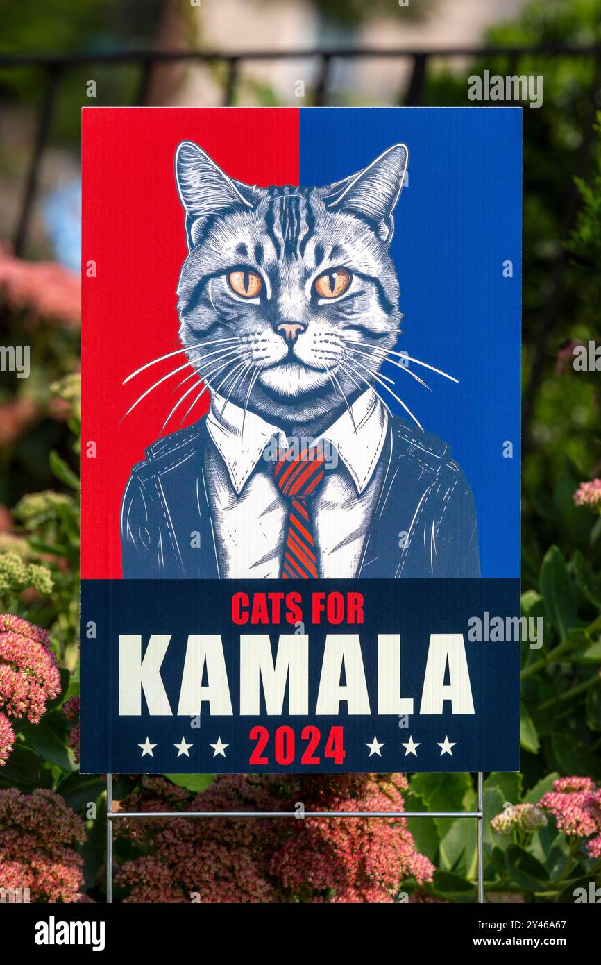 2024 US presidential election yard sign for Vice-President Kamala ...