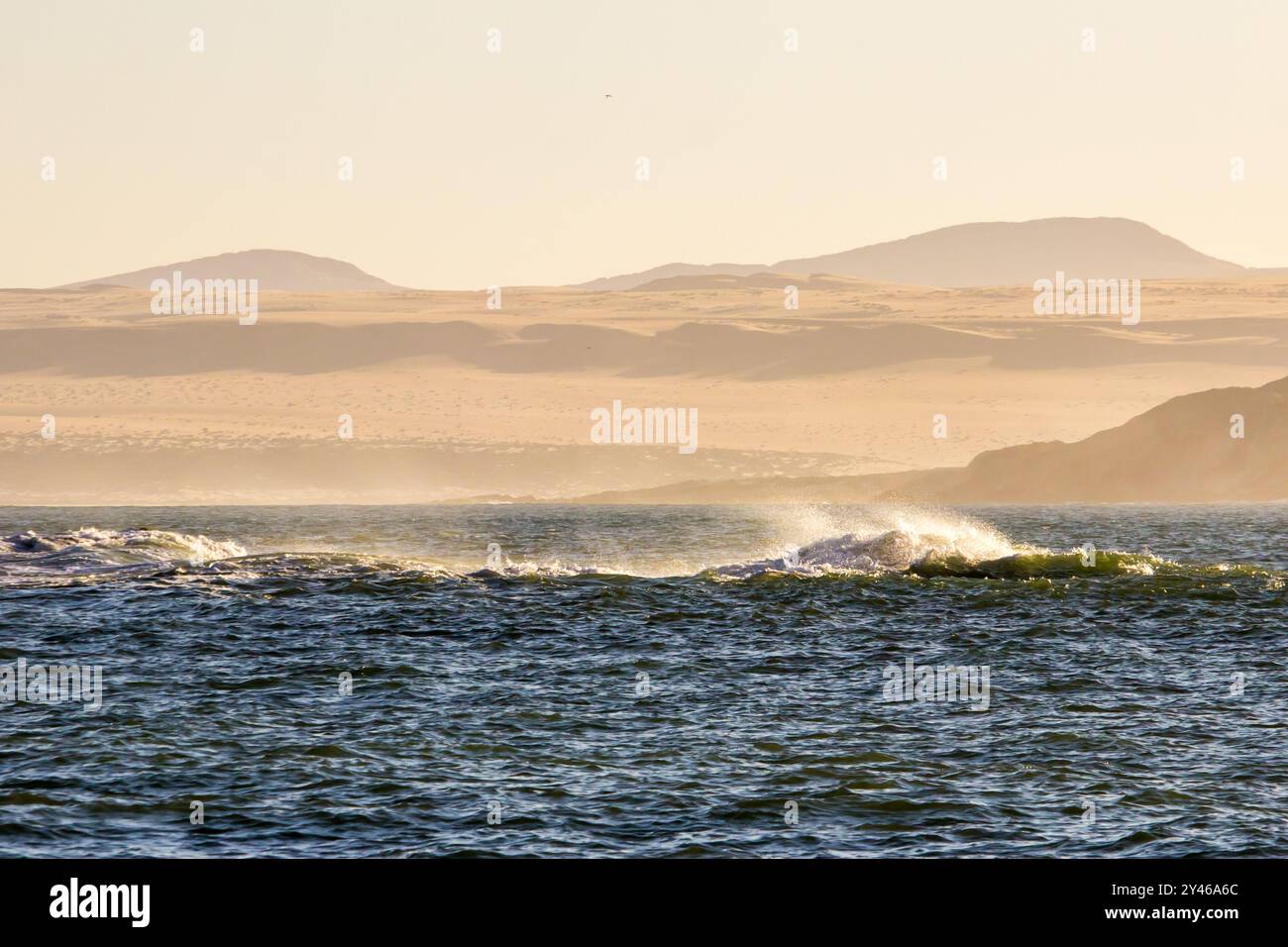 The sand dunes of the Namib desert at dawn along the Namibian coast ...