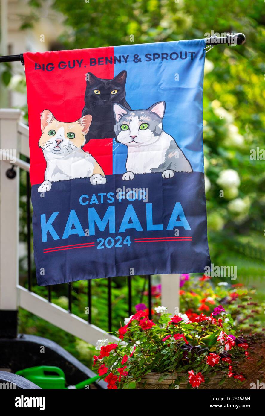 2024 US presidential election flag with three cats for Vice-President ...