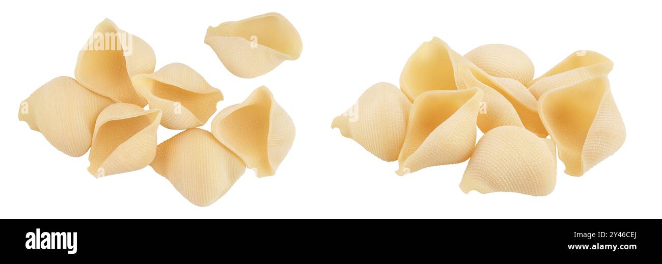 Conchiglioni italian pasta isolated on white background. Top view. Flat ...