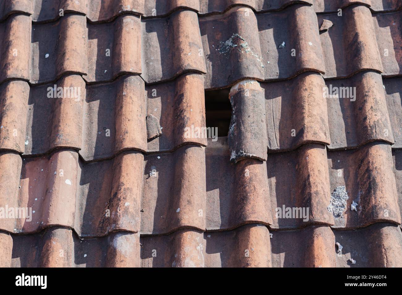 A close-up view of a weathered terracotta roof with uneven tiles. Some ... A close-up view of a weathered terracotta roof with uneven tiles. Some ...