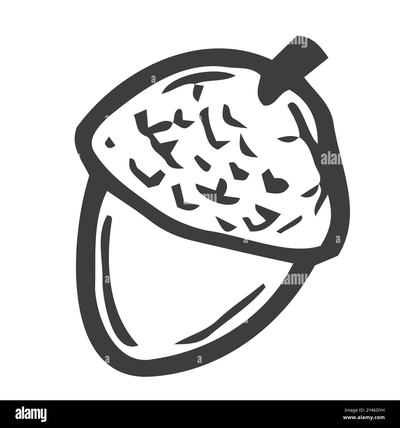 Acorn leaf vintage illustration Black and White Stock Photos & Images ...