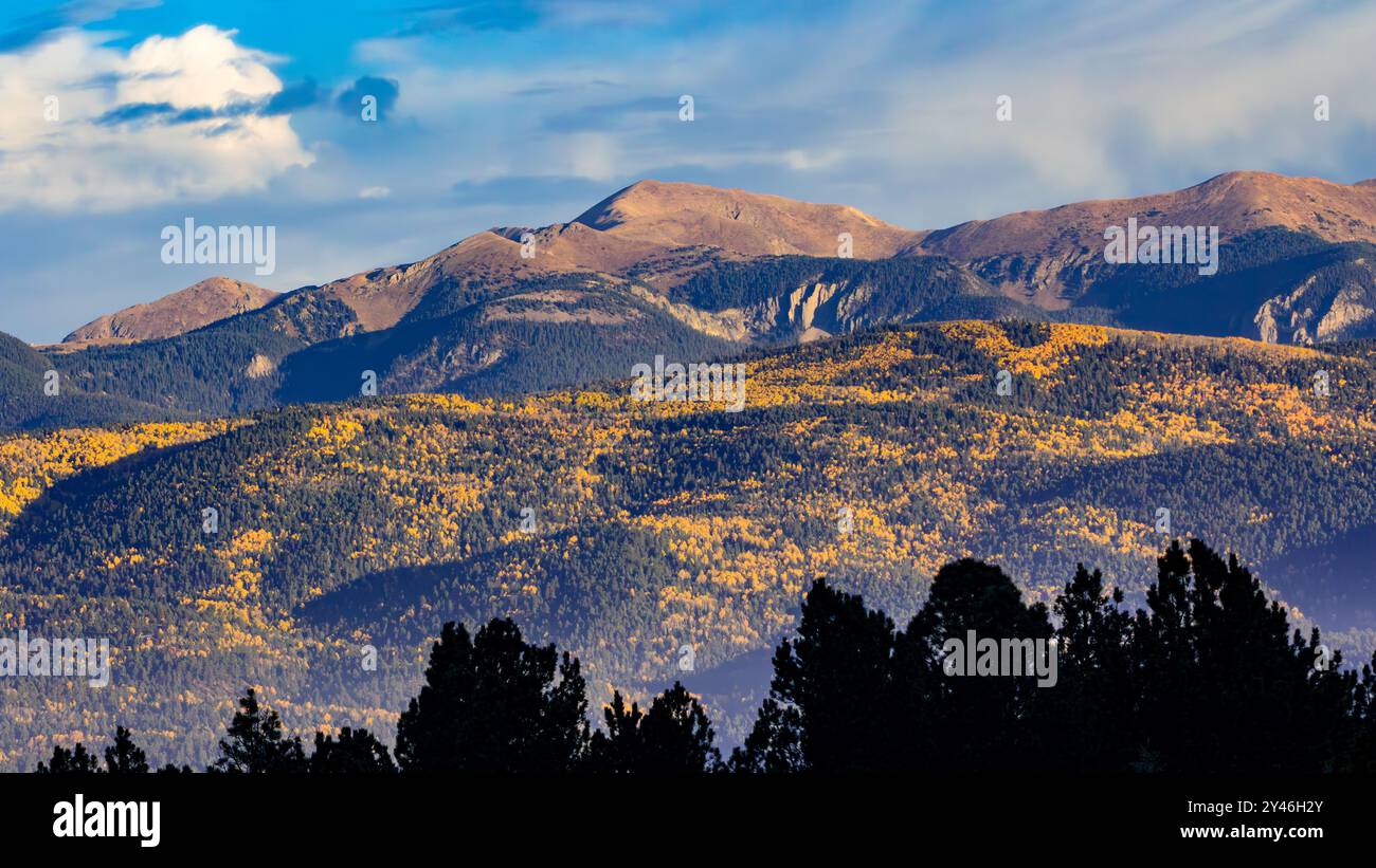 Tree wheeler hi-res stock photography and images - Alamy