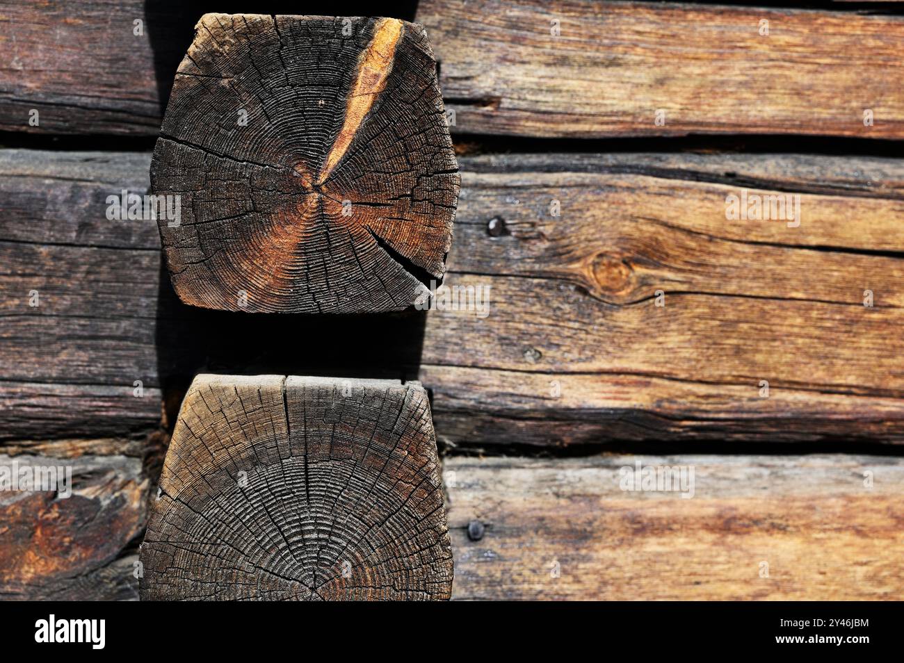 This image depicts a close-up of the ends of two wooden logs, showing ...
