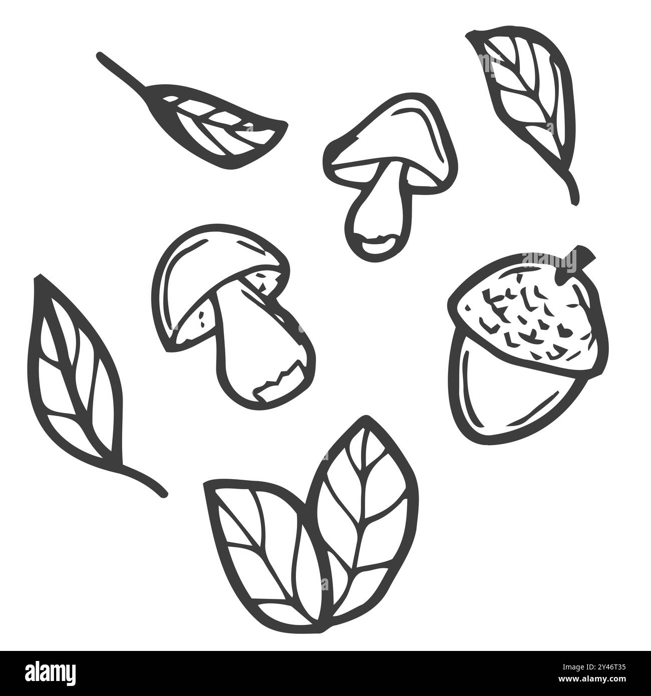 Autumn doodle set on a white background. Black and white vector ...