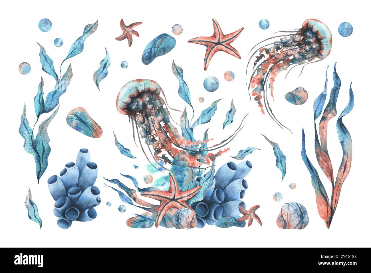 Underwater world clipart with sea animals jellyfish, starfish, pebbles ...