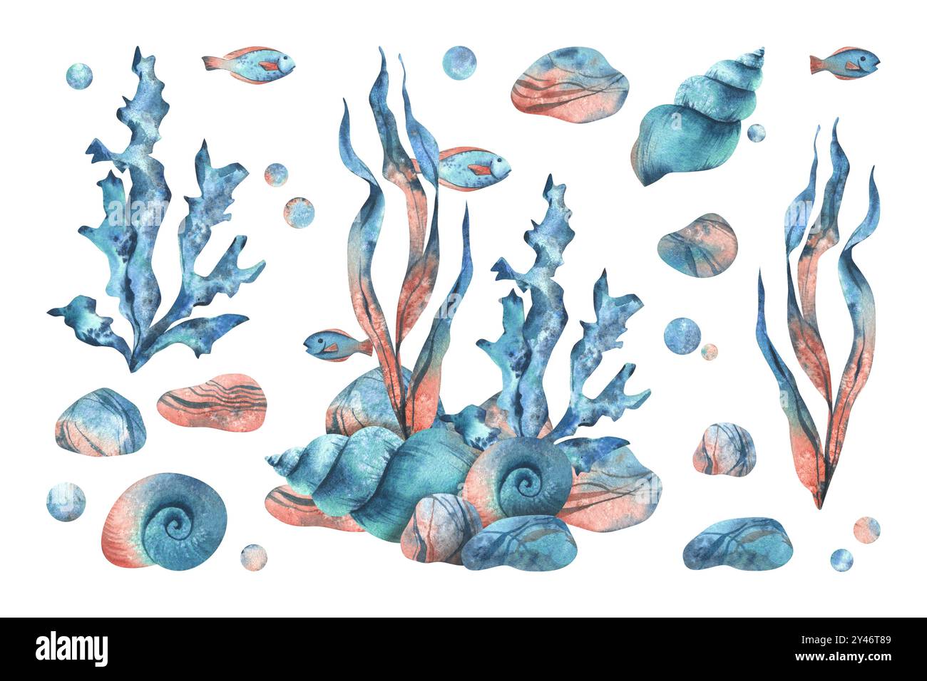 Underwater world clipart with sea animals fishes, shells, coral and ...