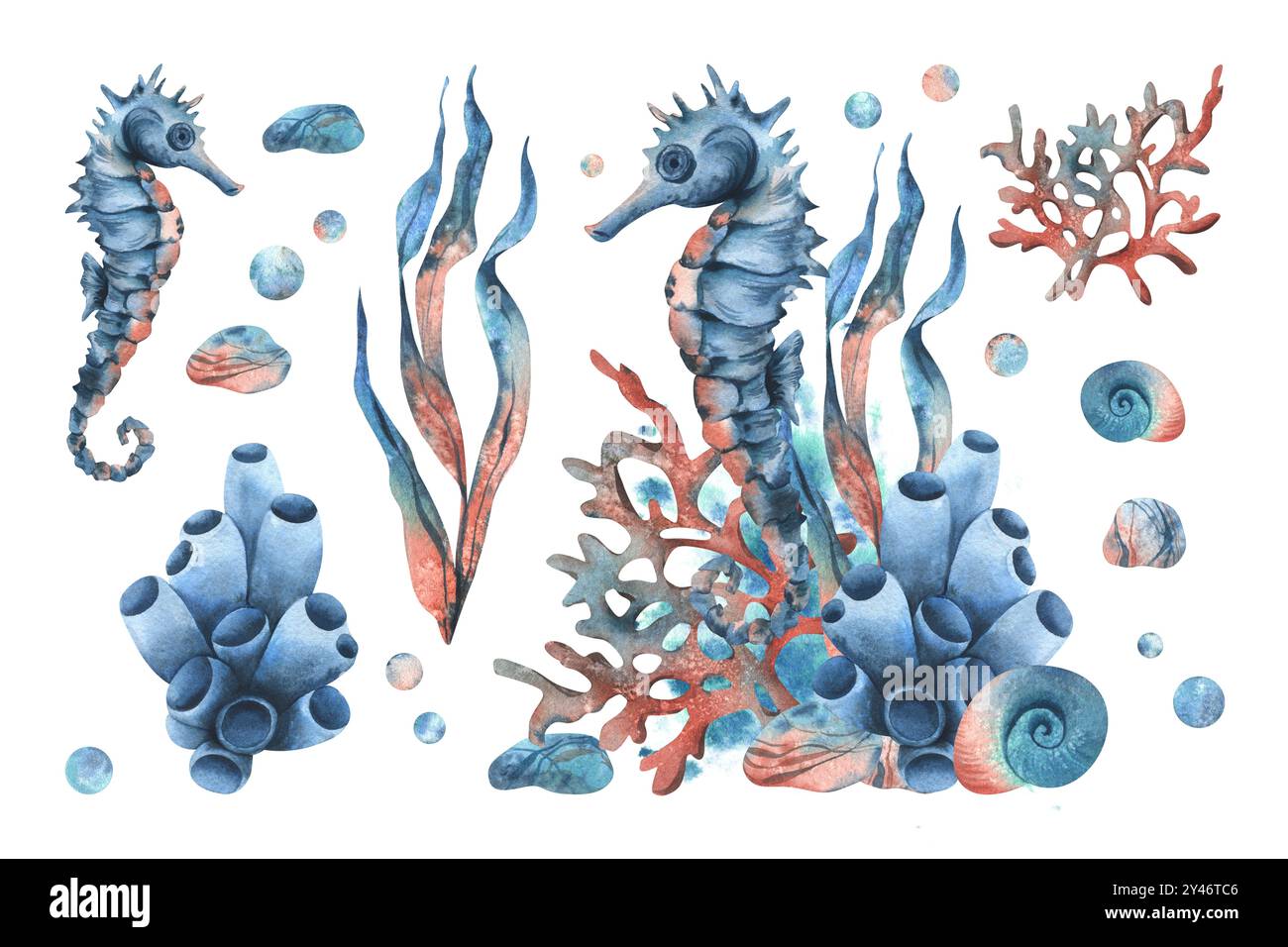 Underwater world clipart with sea animals seahorse, starfish, shells ...