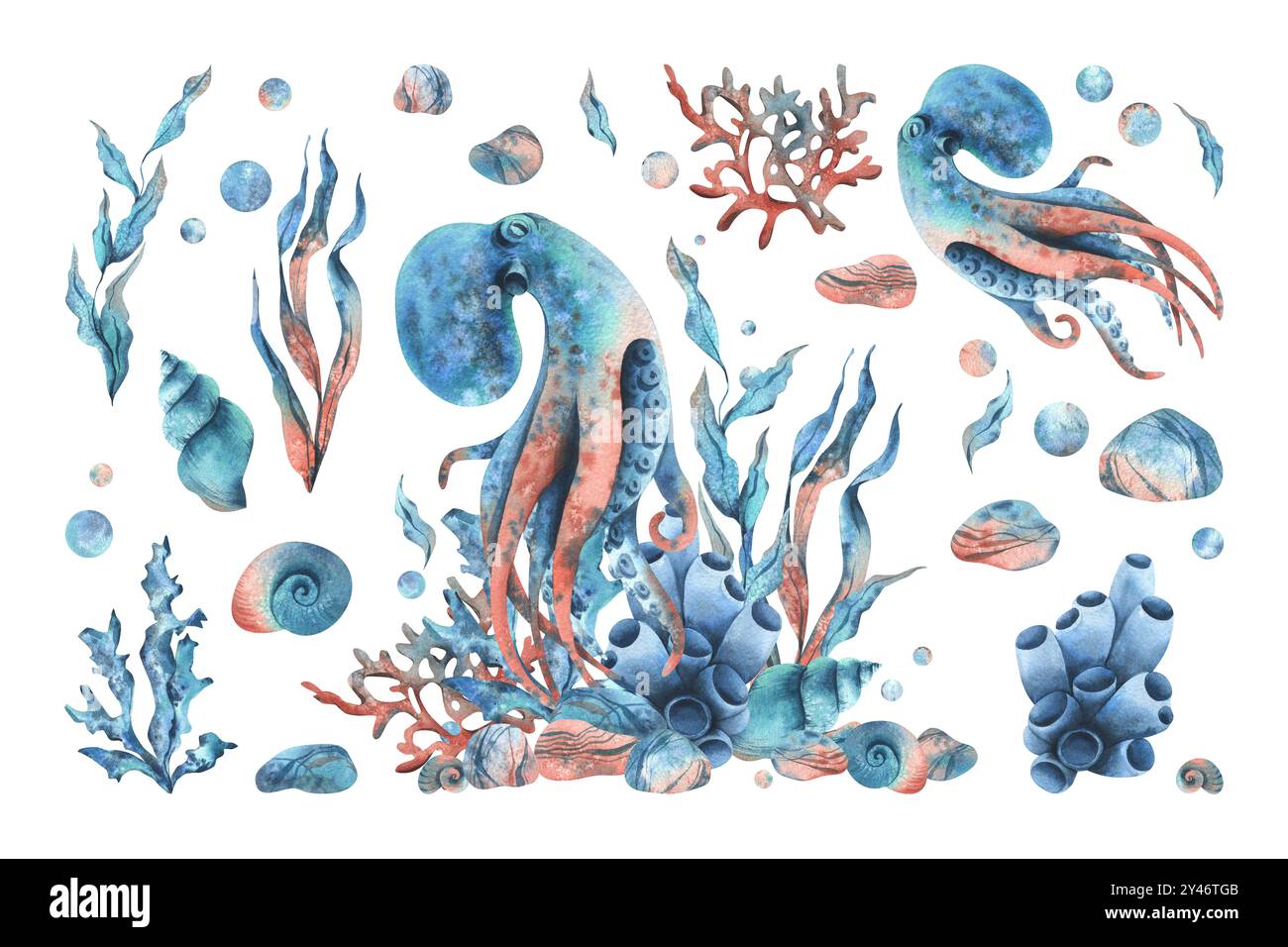Underwater world clipart with sea animals octopus, shells, coral and ...