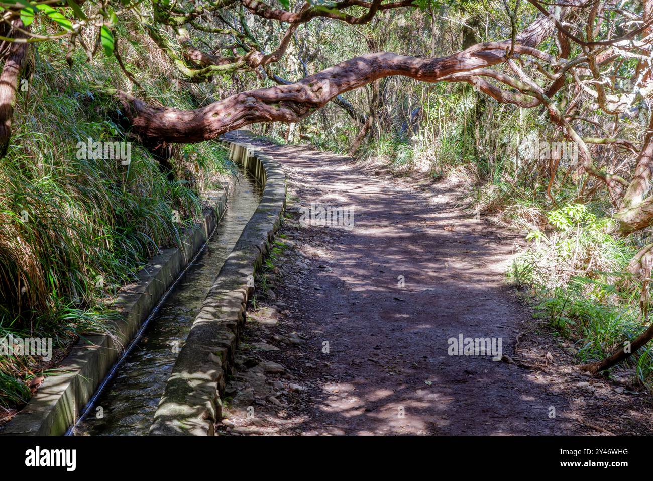 Hiking path along the historic levadas on the Levada das 25 Fontes hike ...