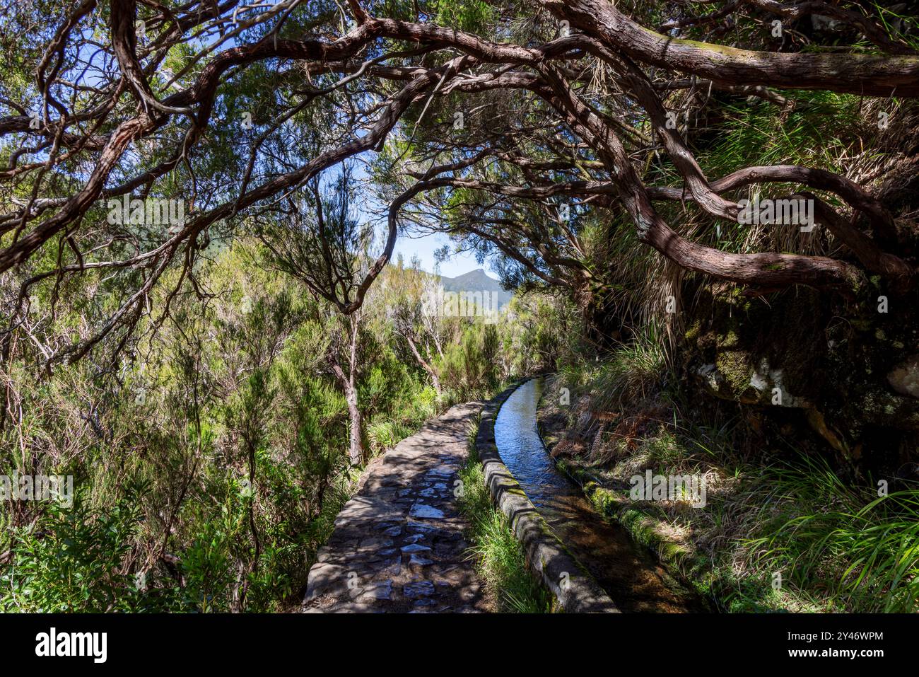 Hiking path along the historic levadas on the Levada das 25 Fontes hike ...