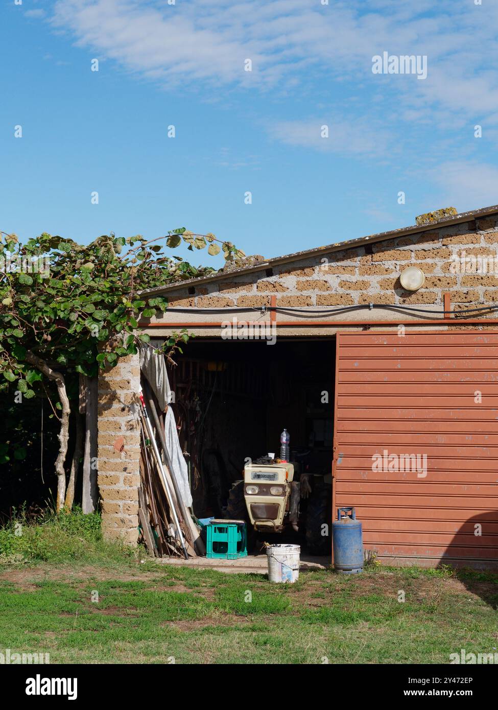 Small brick built farmers hut with tiny tractor inside with Kiwi Plant ...