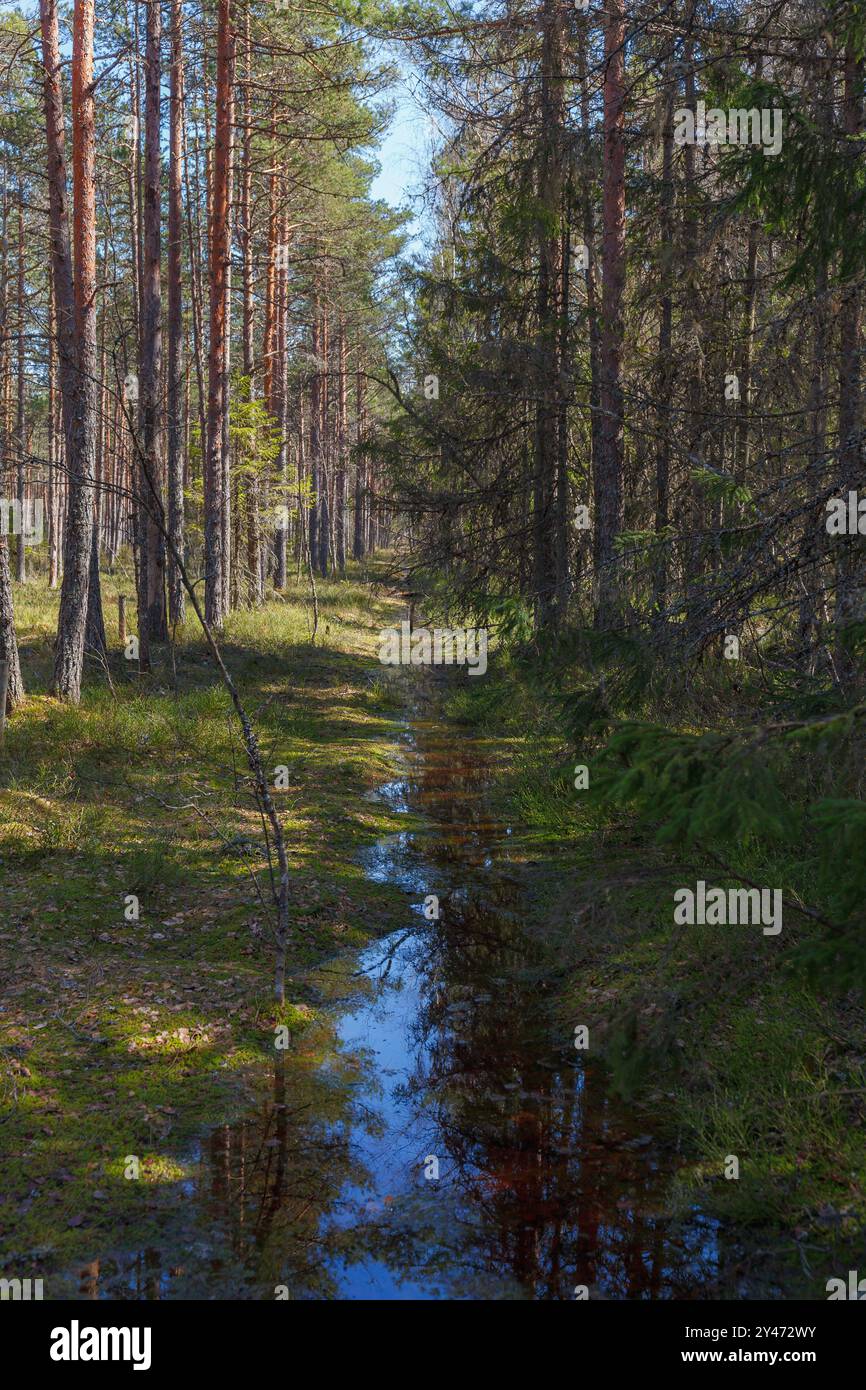 Peat drain hi-res stock photography and images - Alamy