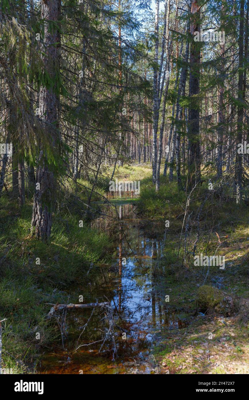 Peat drain hi-res stock photography and images - Alamy