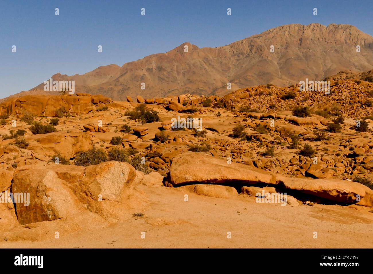 Tafraoute rises north-west of the Ameln valley, dotted with pink ...