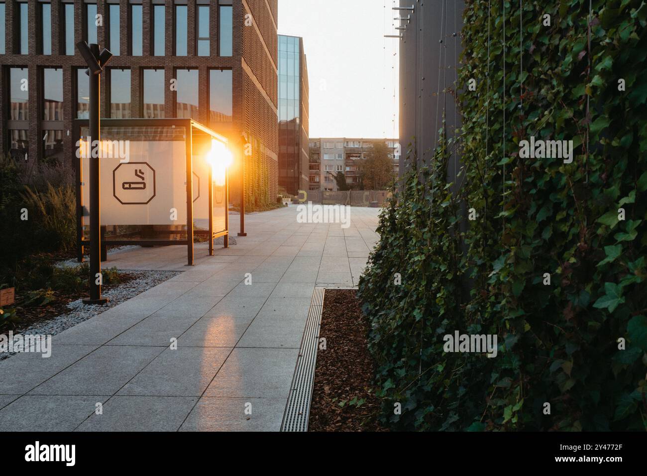 Cyber security architecture hi-res stock photography and images - Alamy