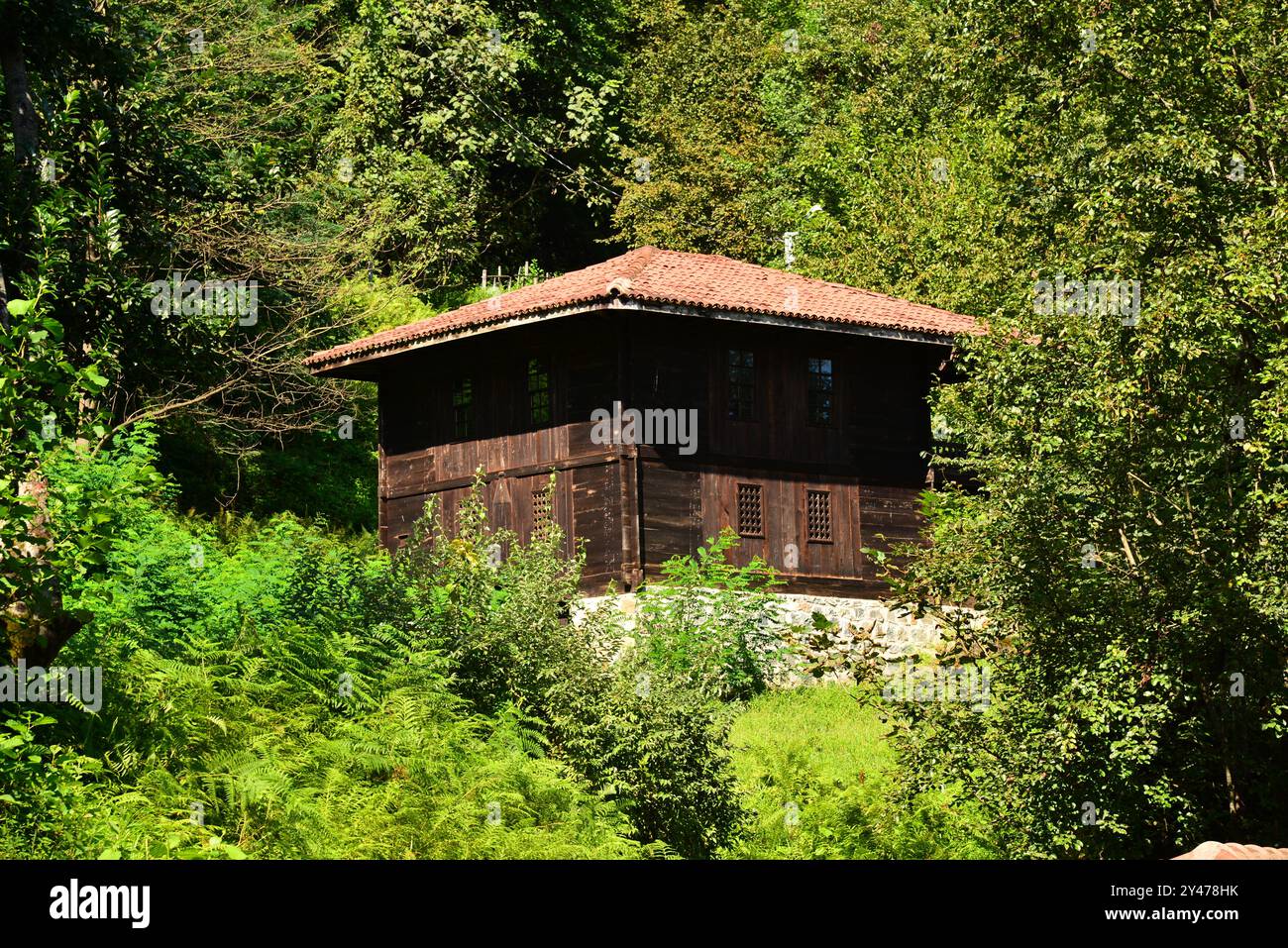 The Historical Meyveli Village Mosque, located in Findikli, Rize ...