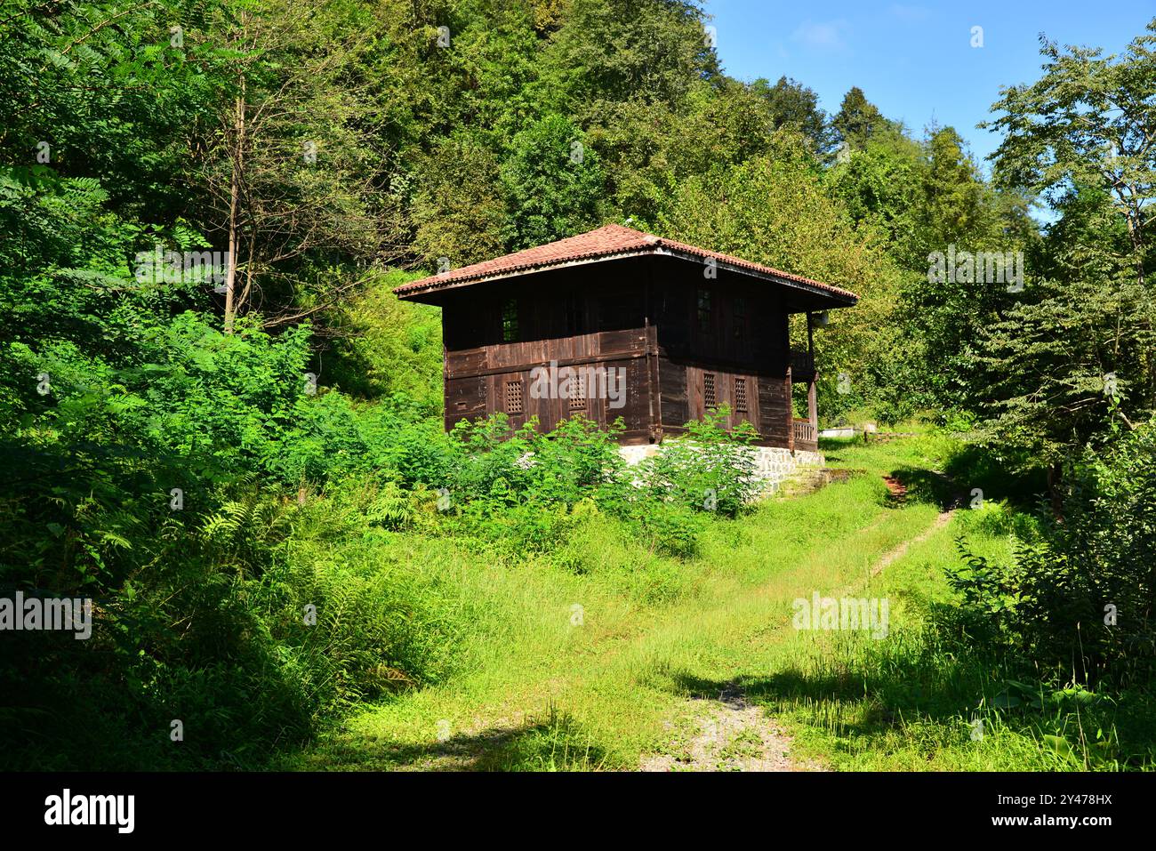 The Historical Meyveli Village Mosque, located in Findikli, Rize ...
