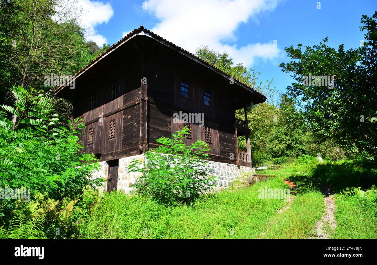 The Historical Meyveli Village Mosque, located in Findikli, Rize ...