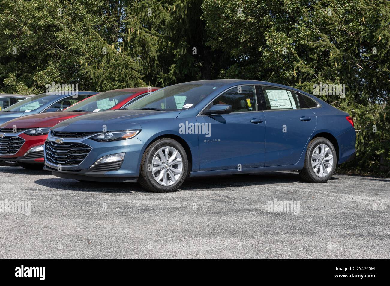 Avon - September 15, 2024: Chevrolet Malibu LT display at a dealership ...