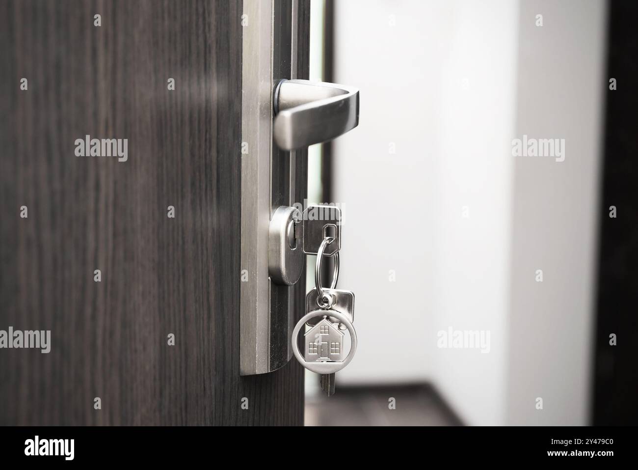 Open door with keys, key in keyhole. Real estate concept Stock Photo ...