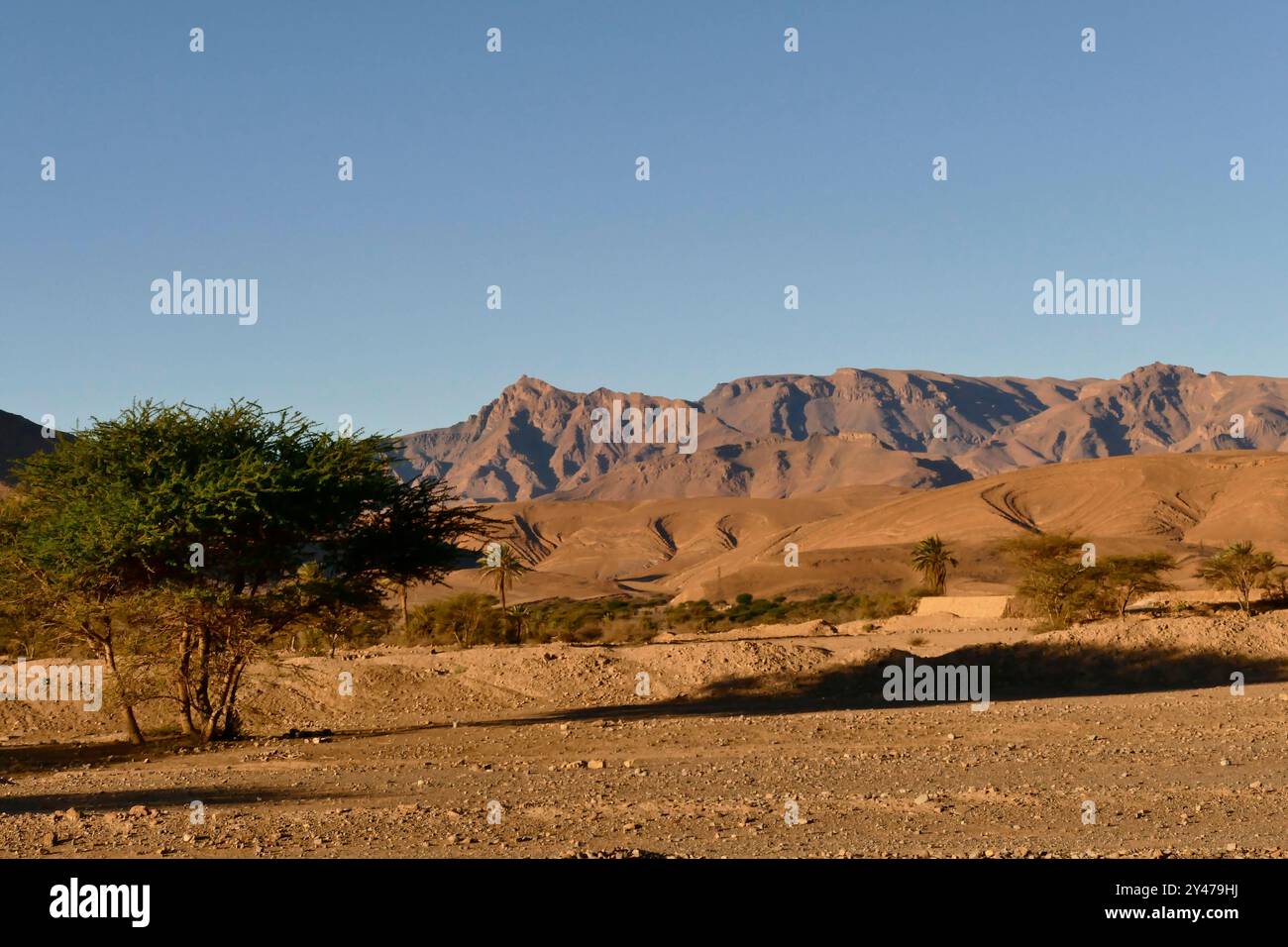 The Tata valley and the Berber Ksars, ancient fortified villages now ...