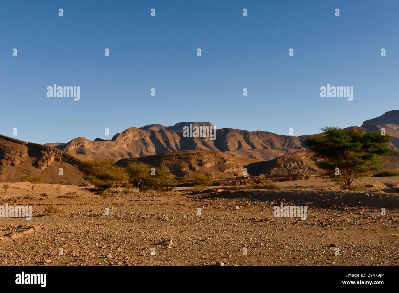 The Tata valley and the Berber Ksars, ancient fortified villages now ...