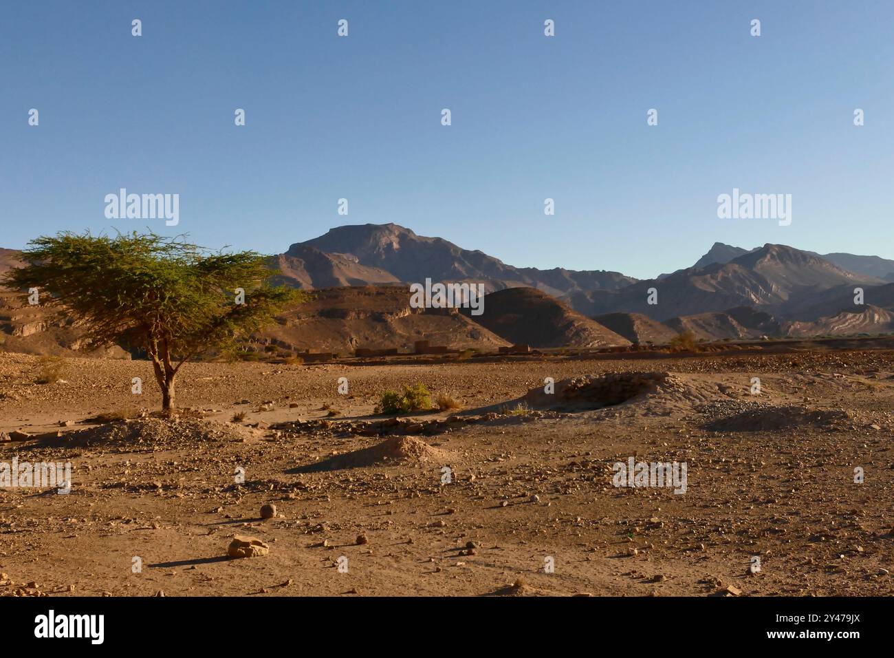 The Tata valley and the Berber Ksars, ancient fortified villages now ...