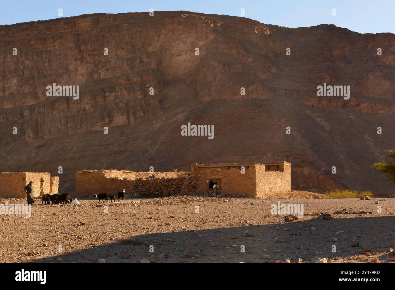 The Tata valley and the Berber Ksars, ancient fortified villages now ...