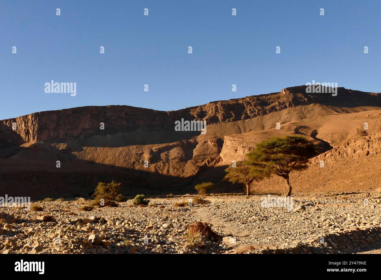 The Tata valley and the Berber Ksars, ancient fortified villages now ...