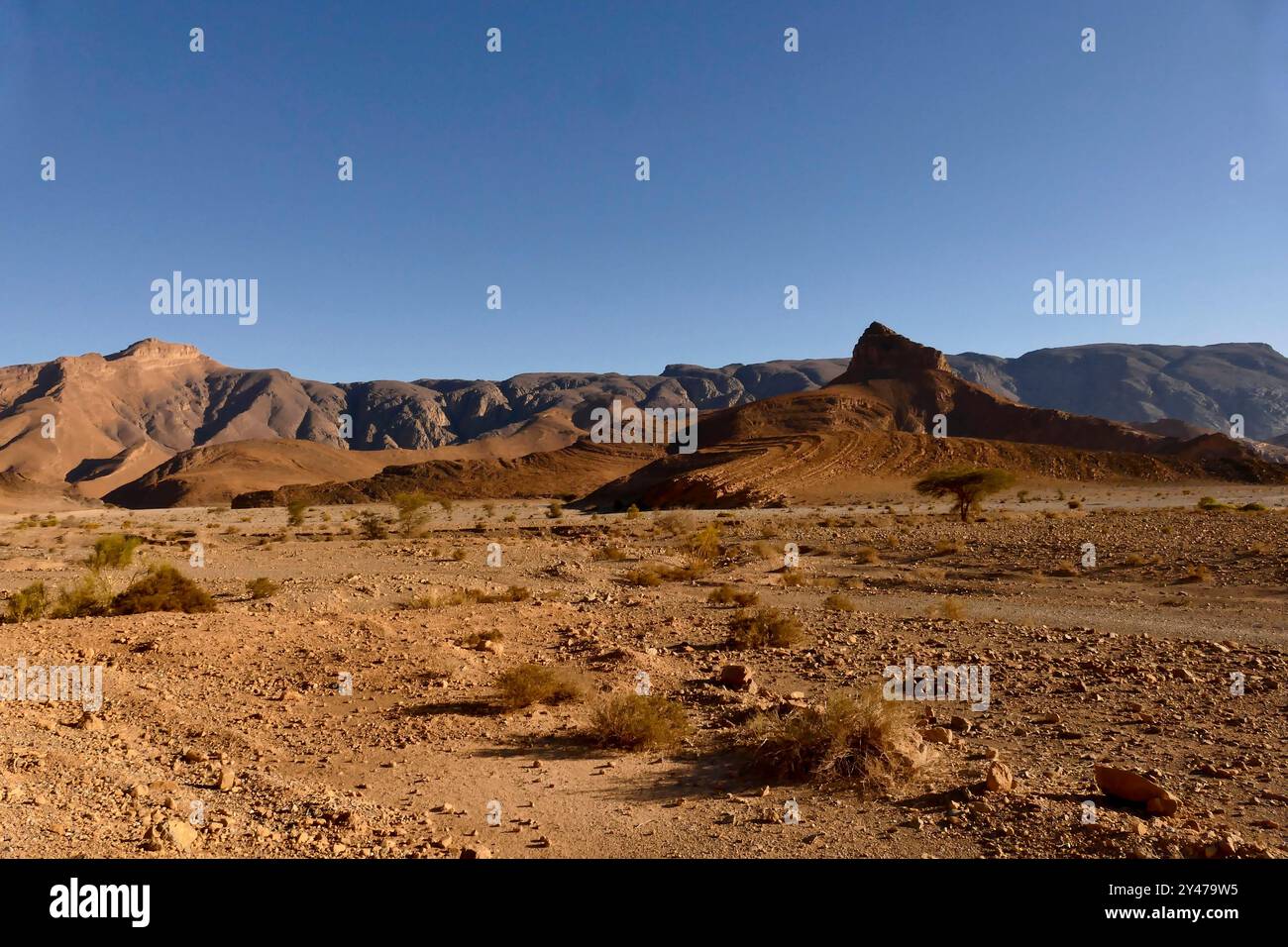 The Tata valley and the Berber Ksars, ancient fortified villages now ...