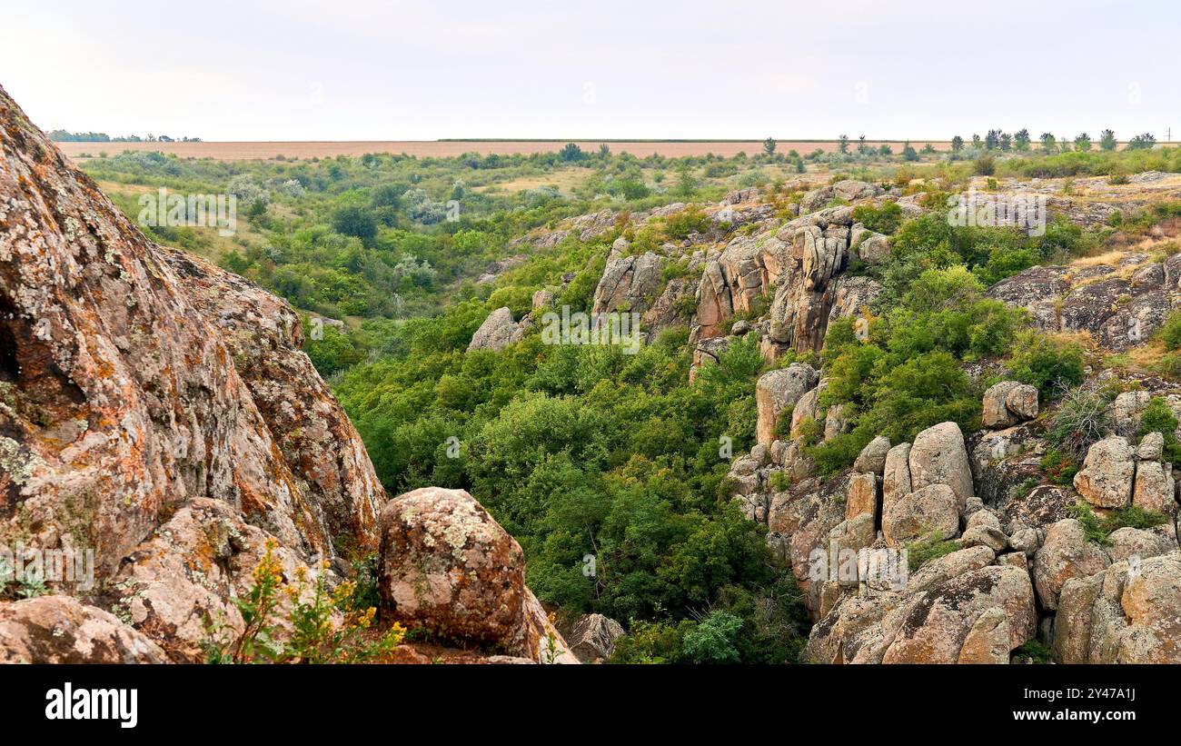 a deep gorge, typically one with a river flowing through it.greenery ...