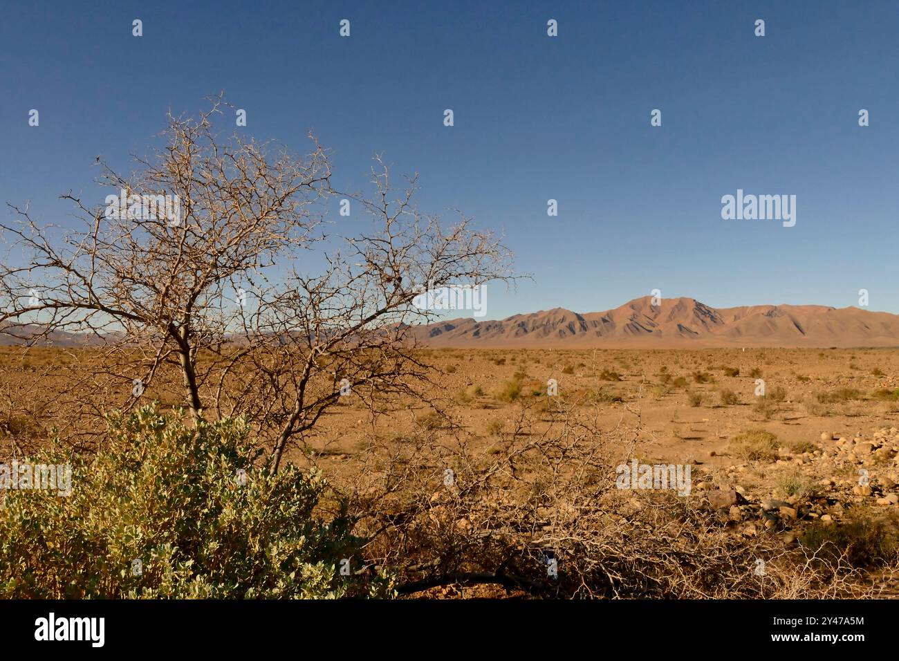 The Tata valley and the Berber Ksars, ancient fortified villages now ...