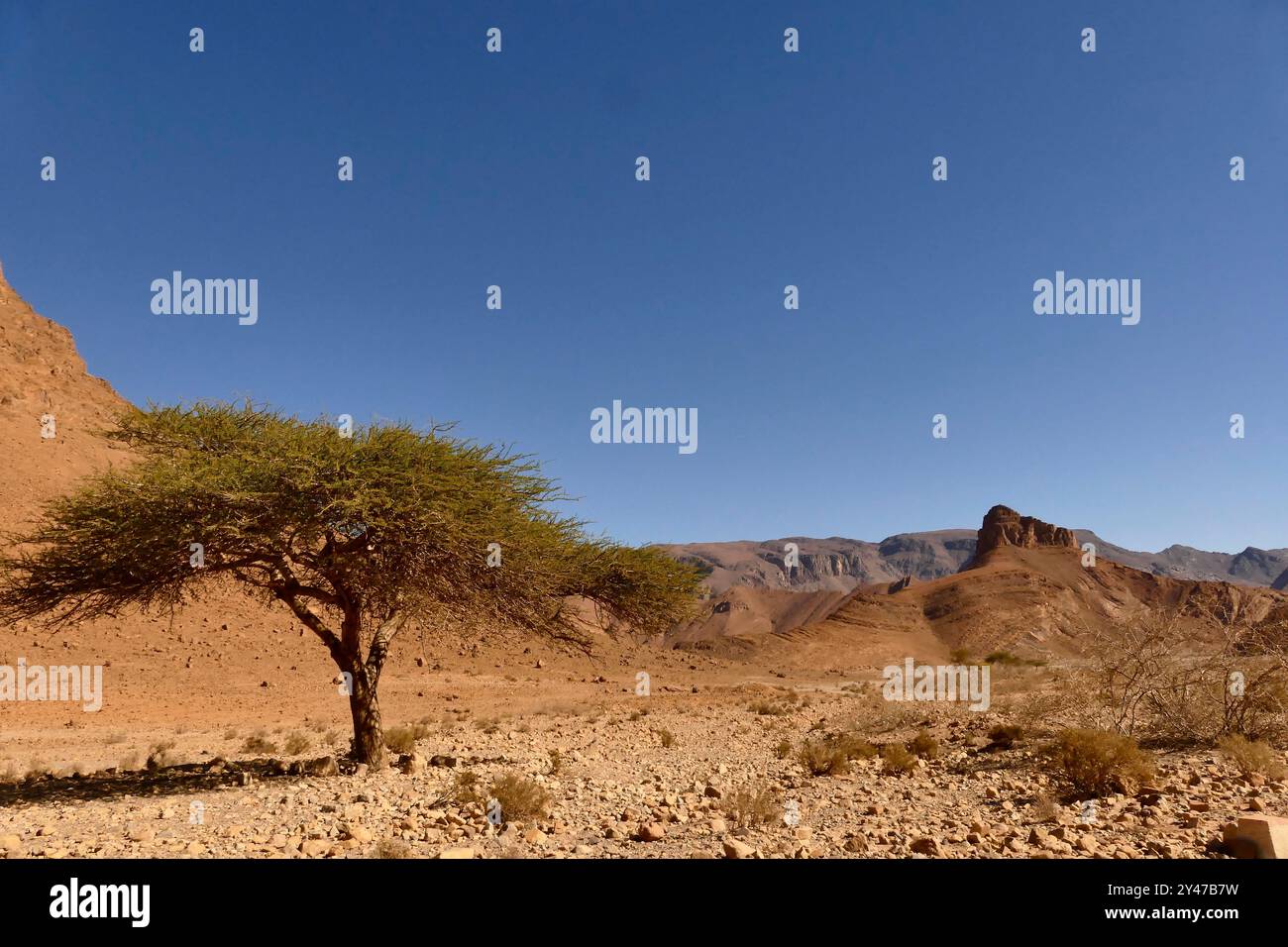 The Tata valley and the Berber Ksars, ancient fortified villages now ...