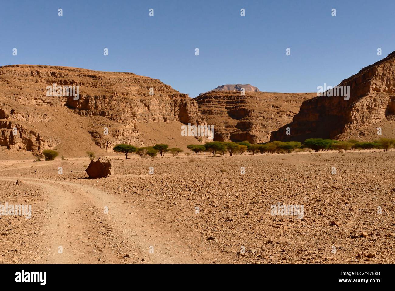The Tata valley and the Berber Ksars, ancient fortified villages now ...