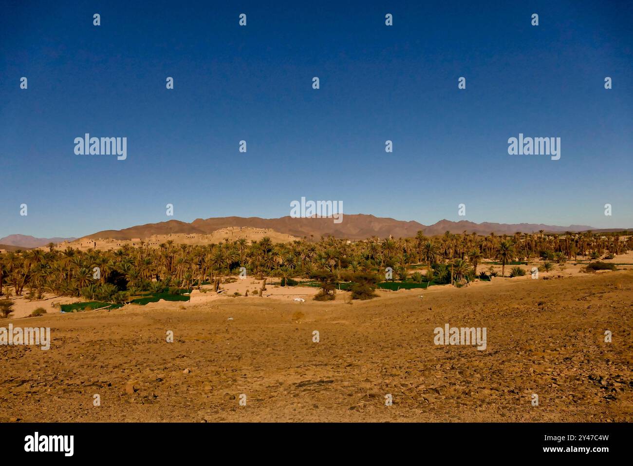 The Tata valley and the Berber Ksars, ancient fortified villages now ...