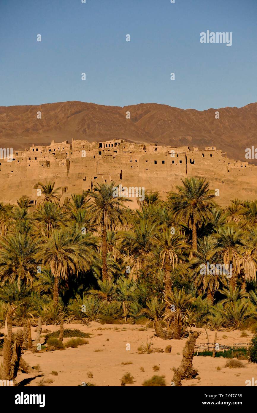 The Tata valley and the Berber Ksars, ancient fortified villages now ...