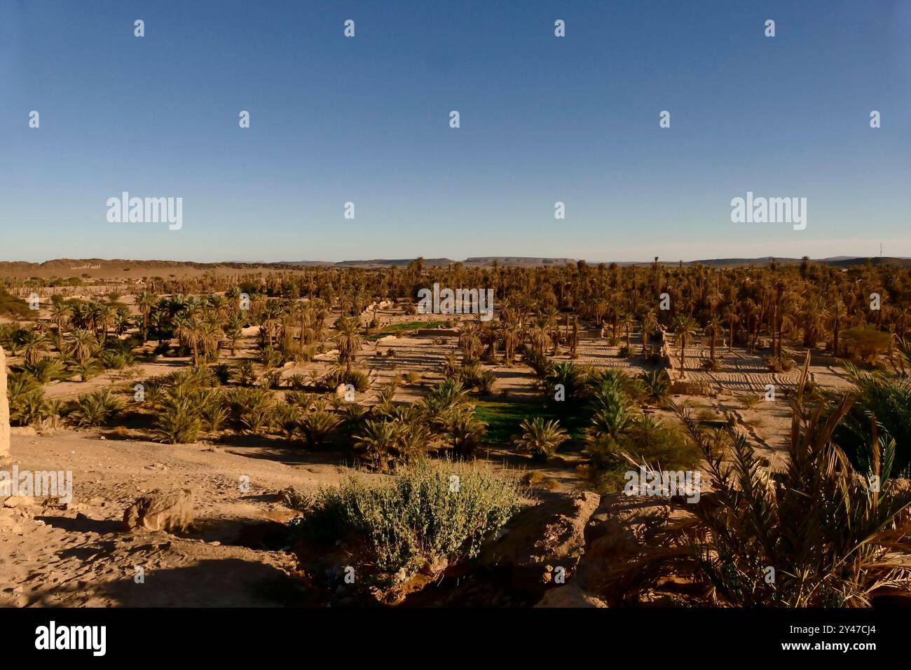 The Tata valley and the Berber Ksars, ancient fortified villages now ...