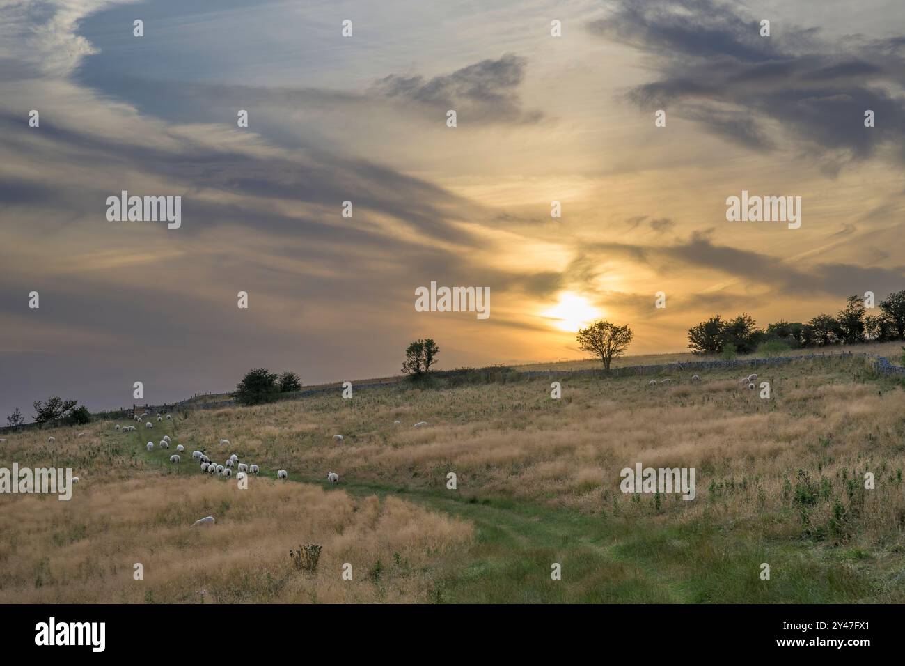 The Mendips taken from Deer Leap which is the highest point in the ...