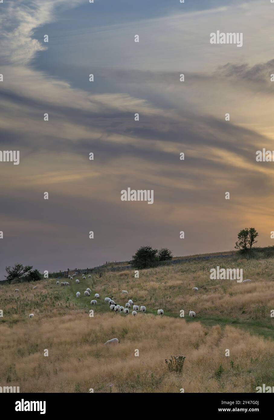 The Mendips, Somerset, UK taken from Deer Leap which is the highest ...