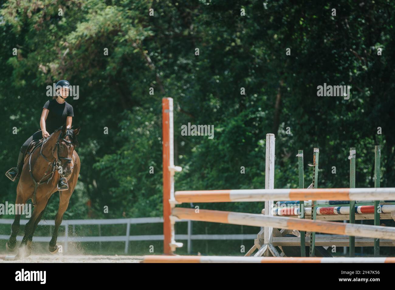 Young equestrian riding horse during an outdoor show jumping ...